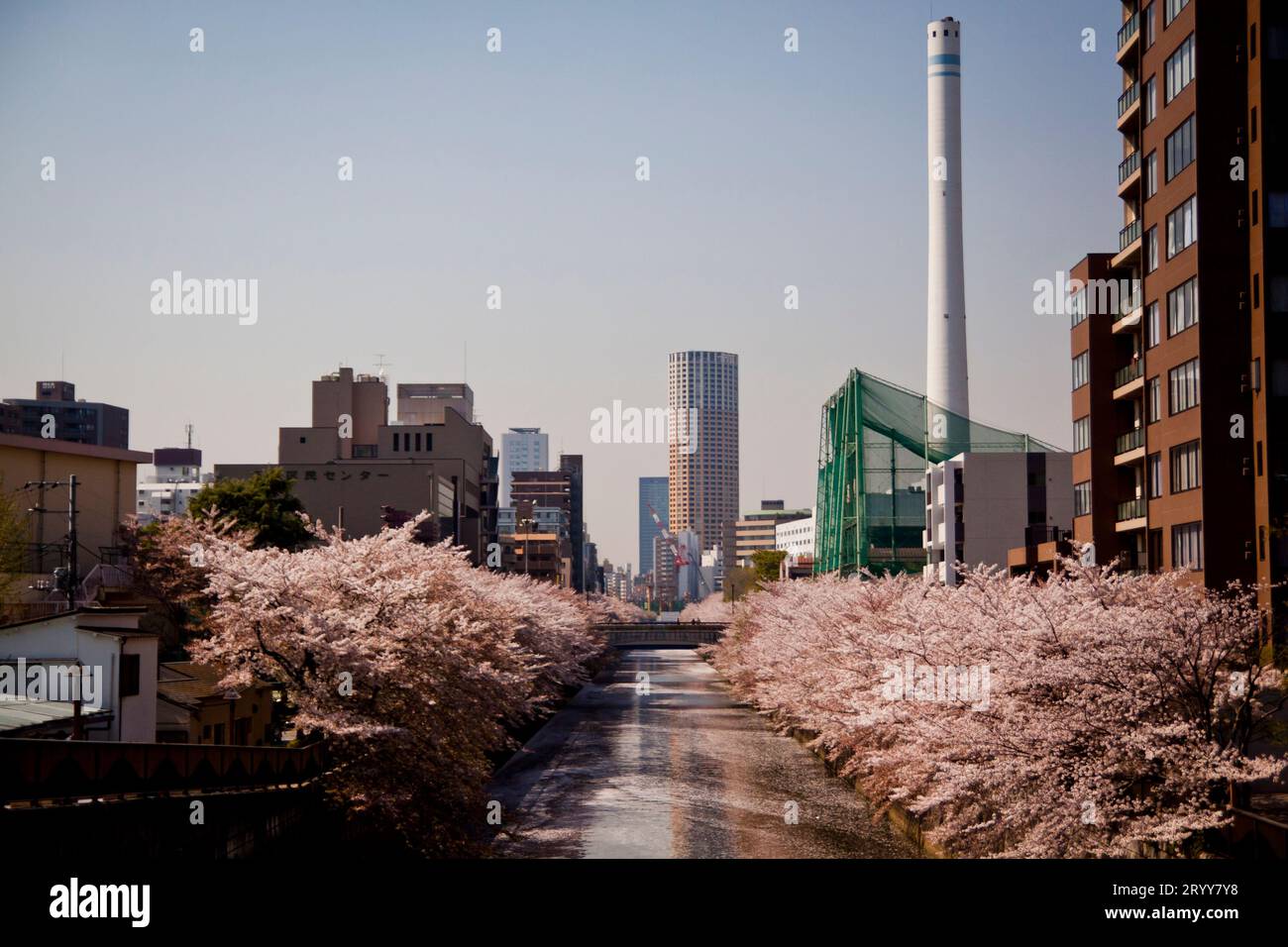 Meguro river canal hi-res stock photography and images - Alamy