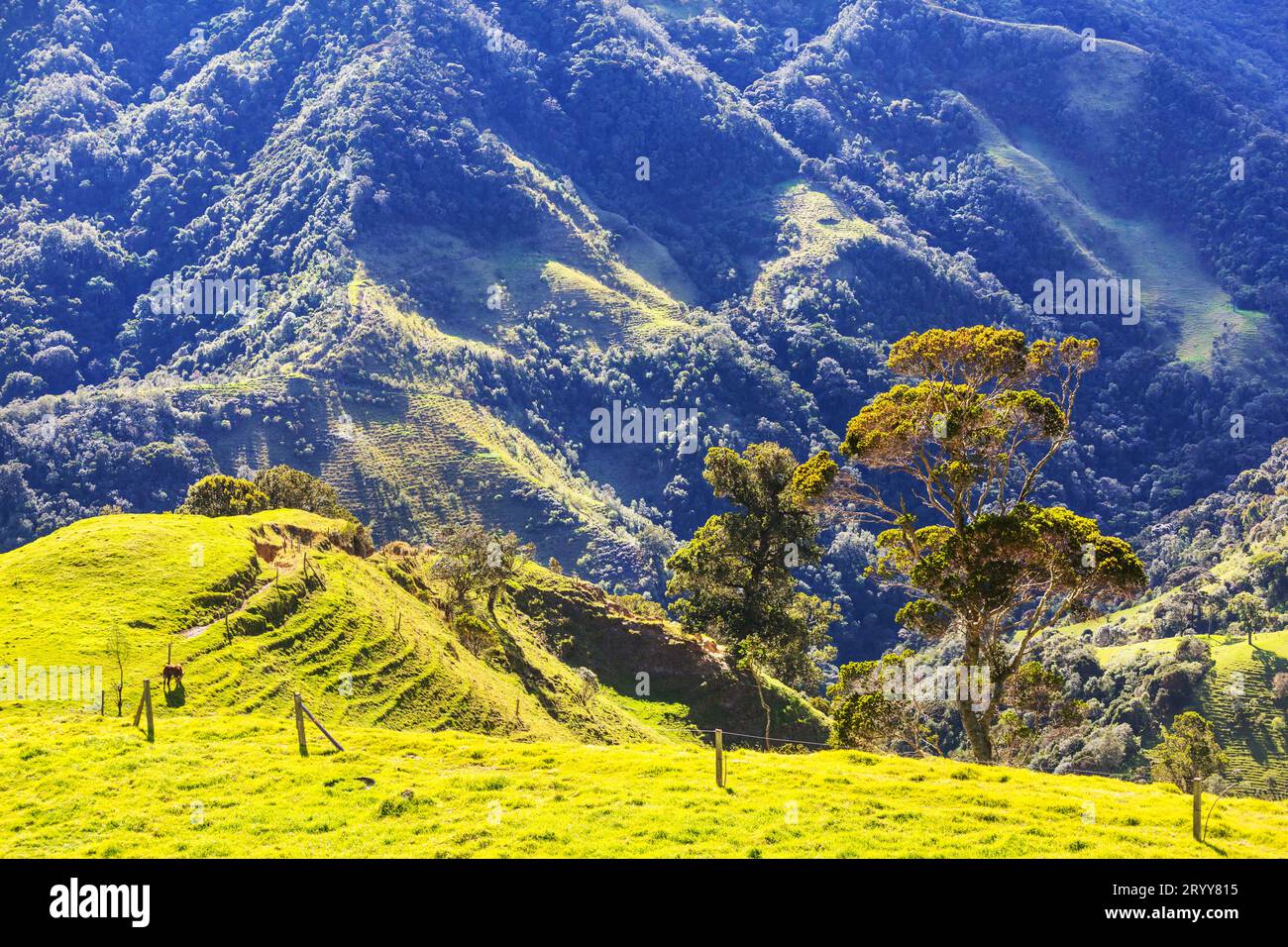 Sur america colombia hi-res stock photography and images - Alamy