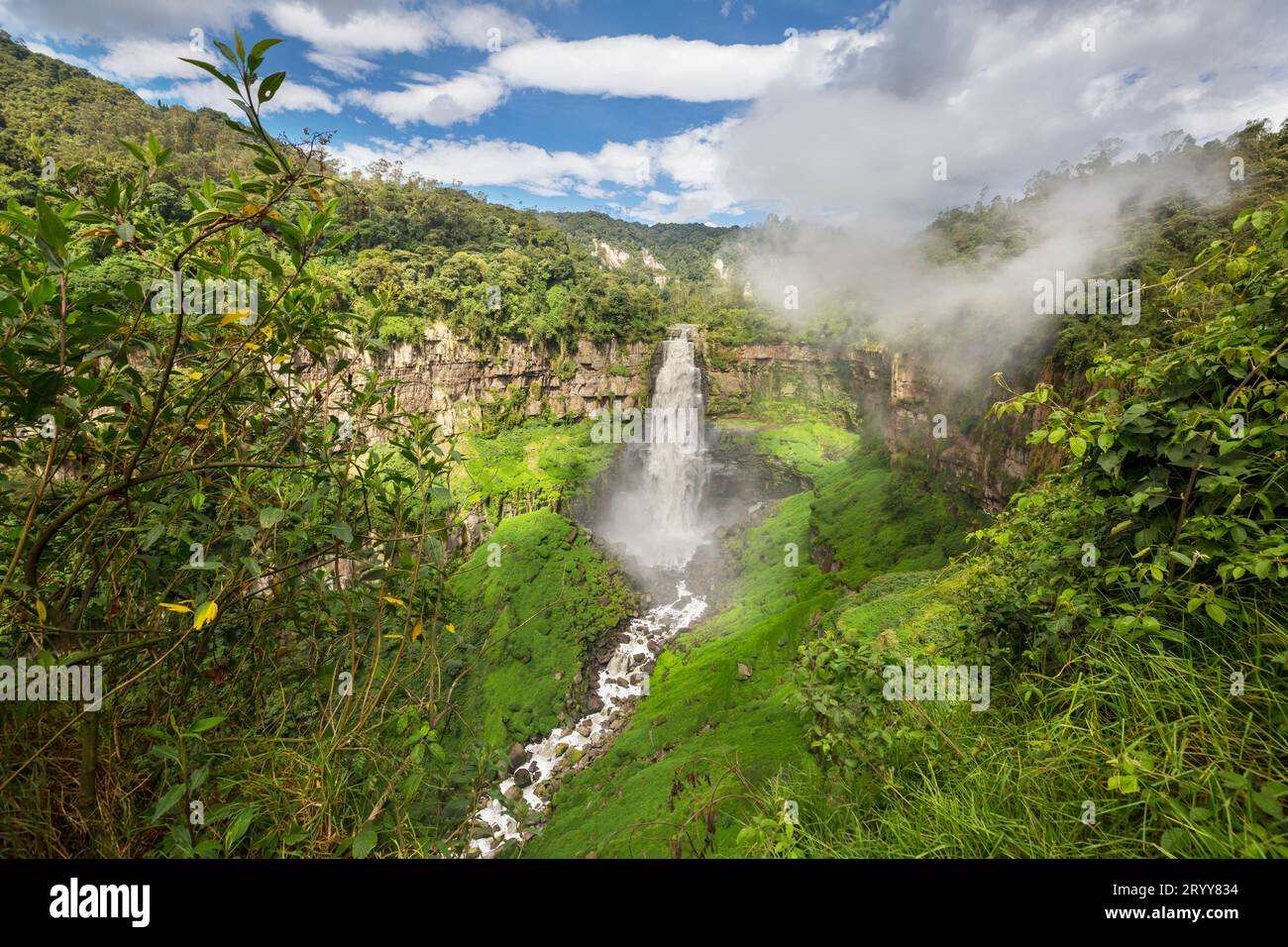 Amazon rainforest colombia aerial hi-res stock photography and images ...