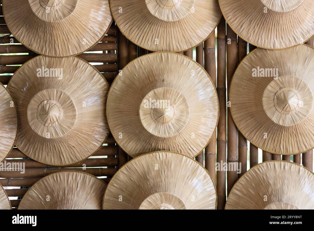 Several farmers' straw hats were hung on a wall made of bamboo. Object ...