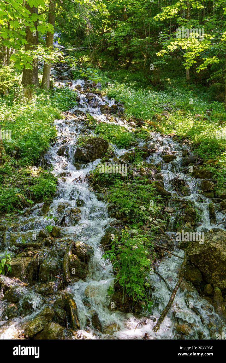 Summer time in the austrian alps Stock Photo - Alamy