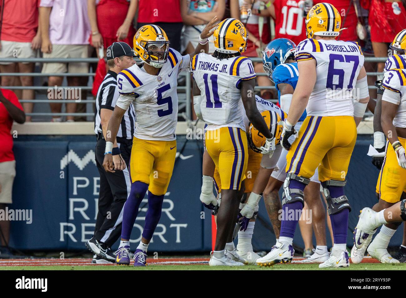 LSU quarterback Jayden Daniels (5) celebrates a touchdown with wide ...