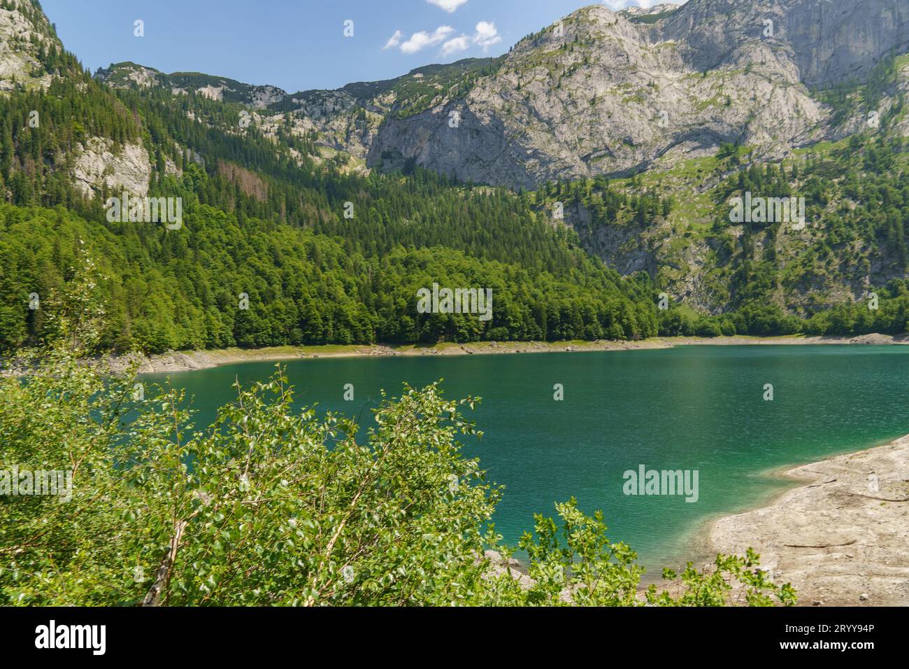 Summer time in the austrian alps Stock Photo - Alamy