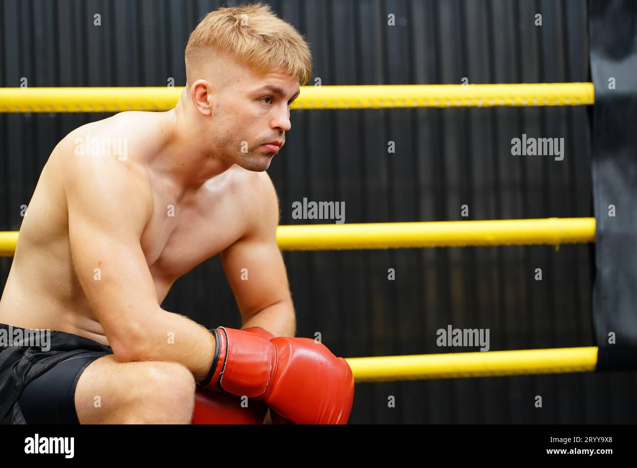 Muay Thai, The martial art of Thailand, Boxer sitting in the corner ...