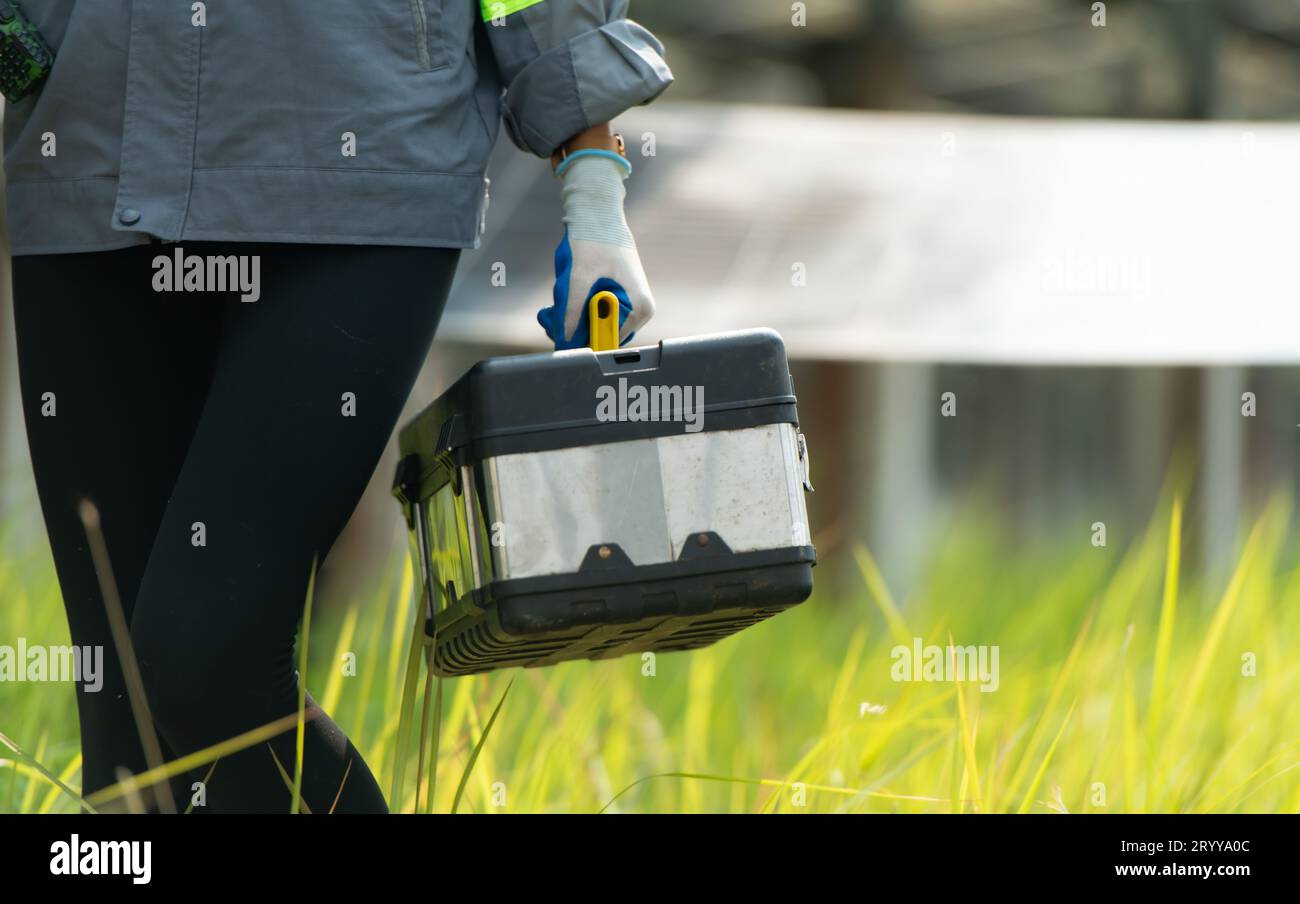 Engineering and technicians unloading repaired solar panels to be ...