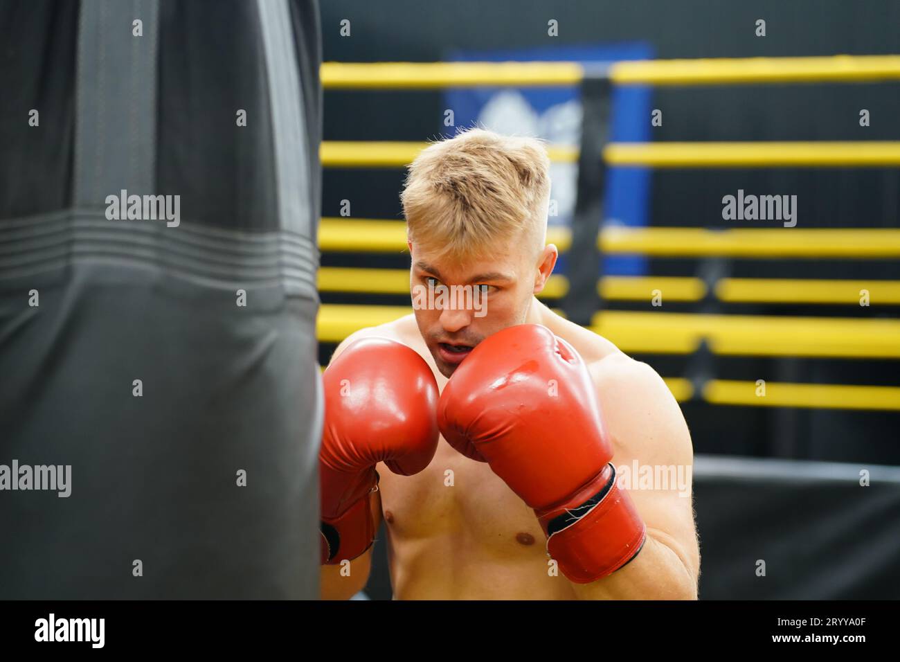 Punching A Punching Bag Build Muscle at Kristopher Chambers blog