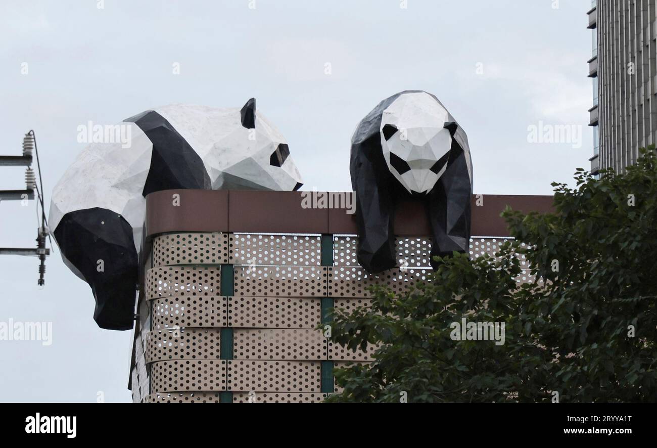 Statues of giant pandas are at a rooftop in Hangzhou, Zhejiang on Oct ...
