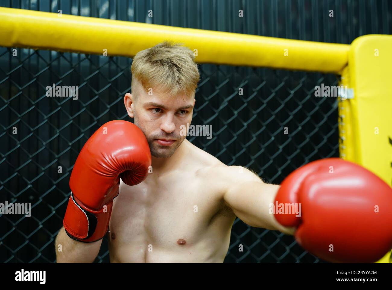 Muay Thai, The martial art of Thailand, The boxer's rehearsal punching ...