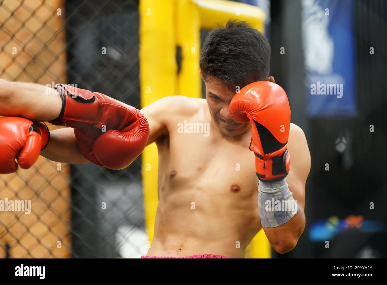 Muay Thai, The martial art of Thailand, Power punches into the face of ...
