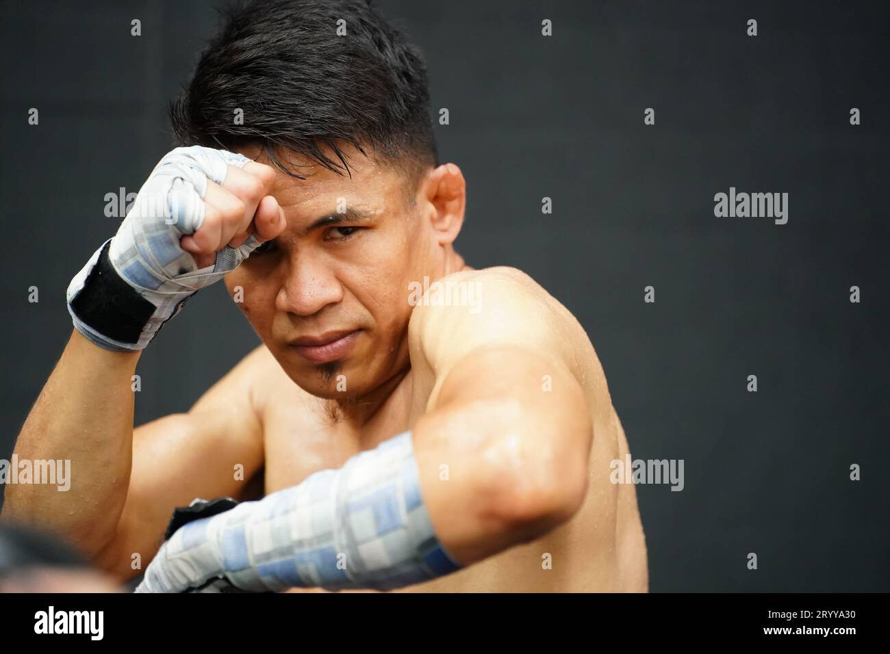 Muay Thai, The martial art of Thailand, The boxer's rehearsal punching ...