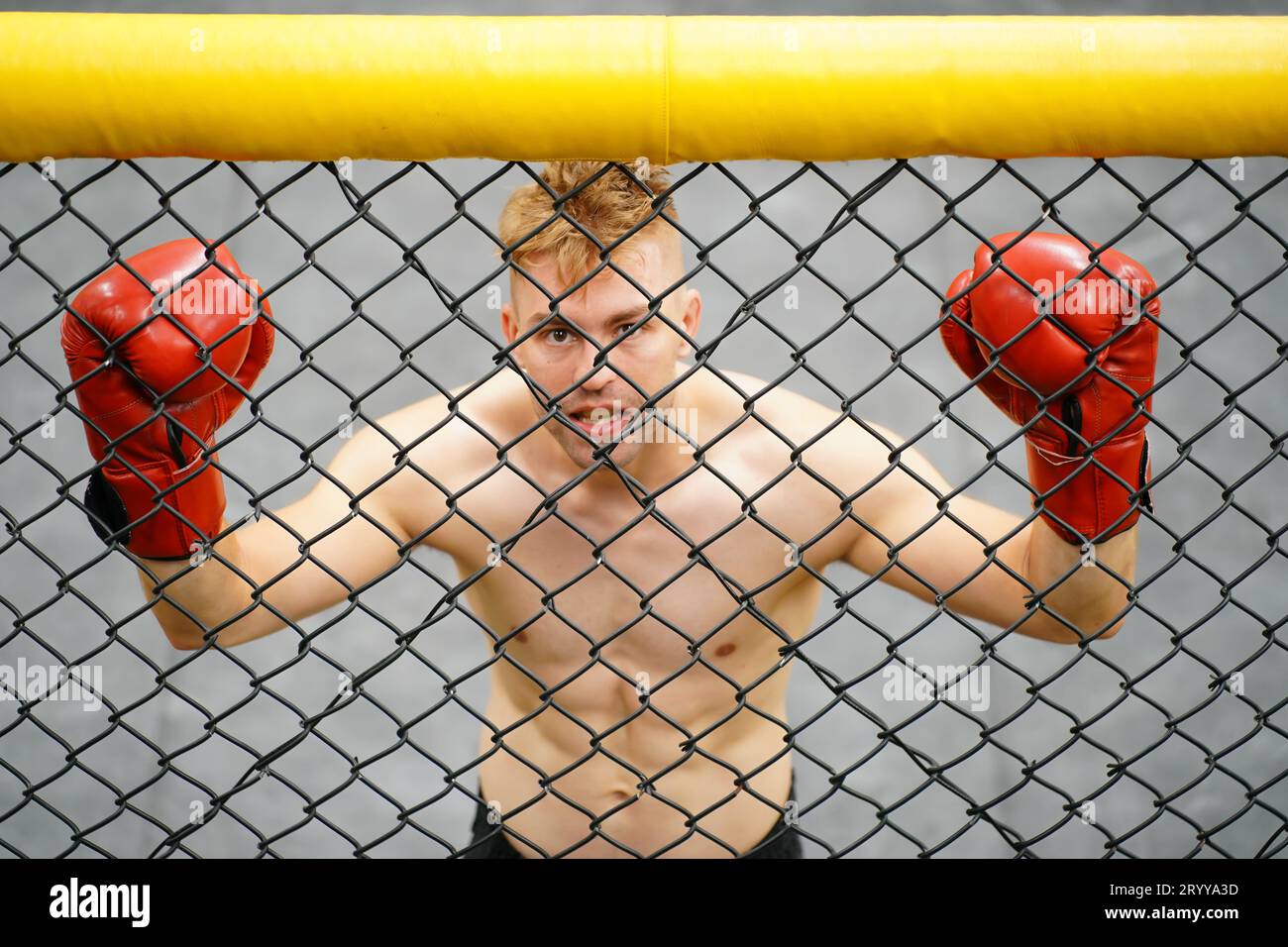 Muay Thai, The martial art of Thailand, Boxer sitting in the corner ...