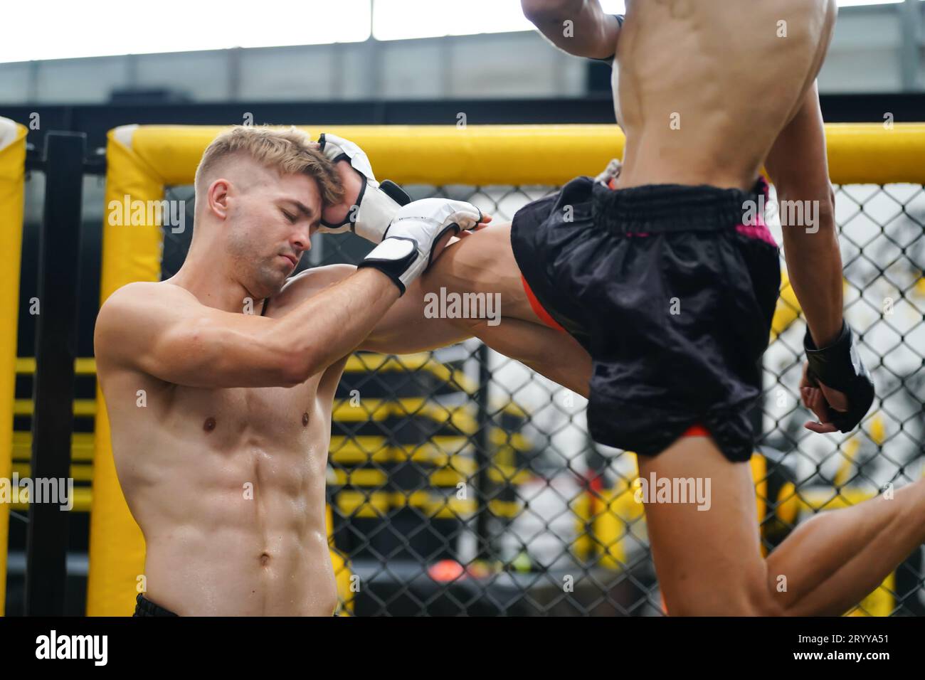 Mixed Martial Art, Jumping knee kick into the opponent's face If it hits the full face There ...