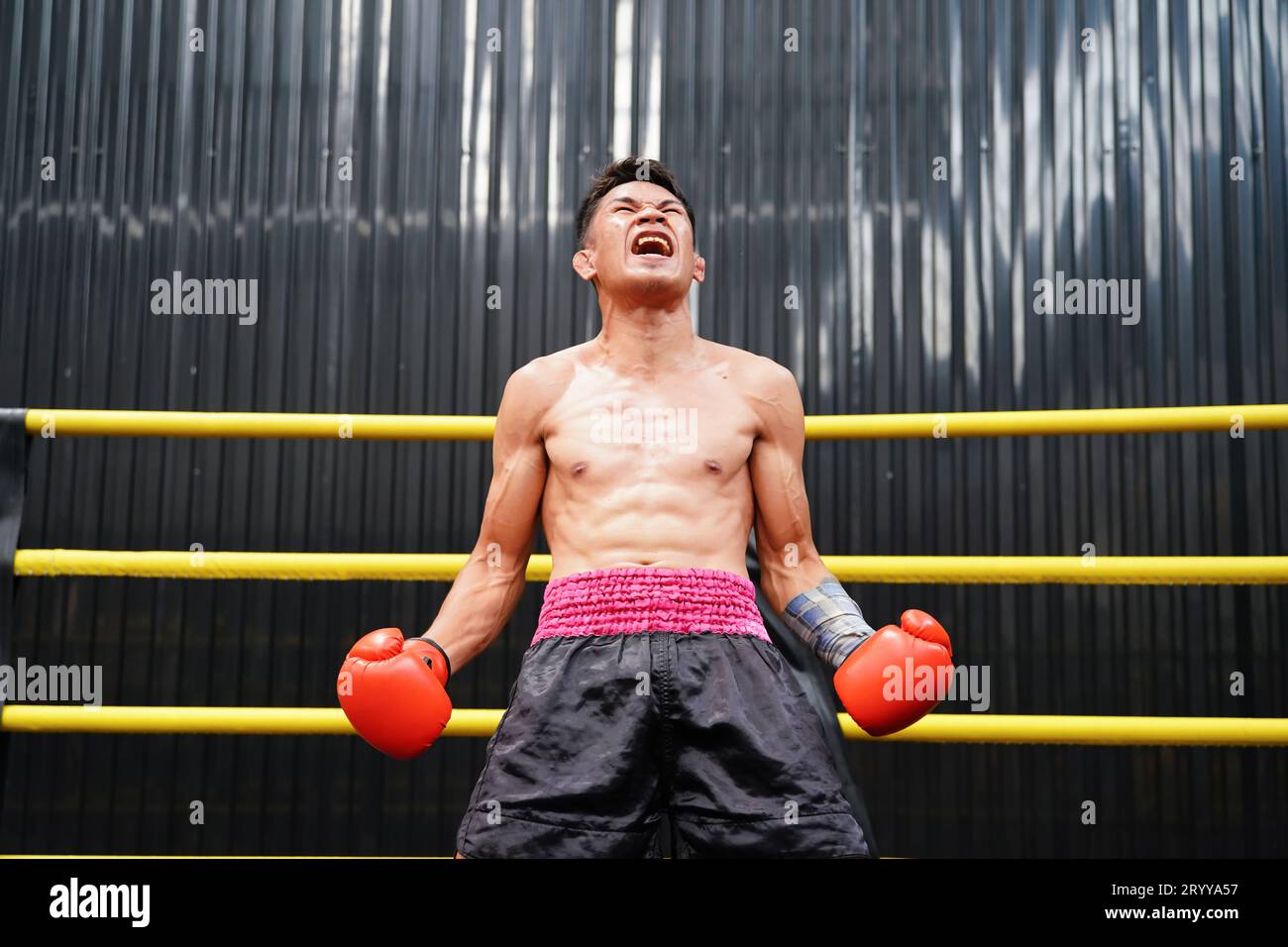 Muay Thai, The martial art of Thailand, Boxer's happiness when he wins ...