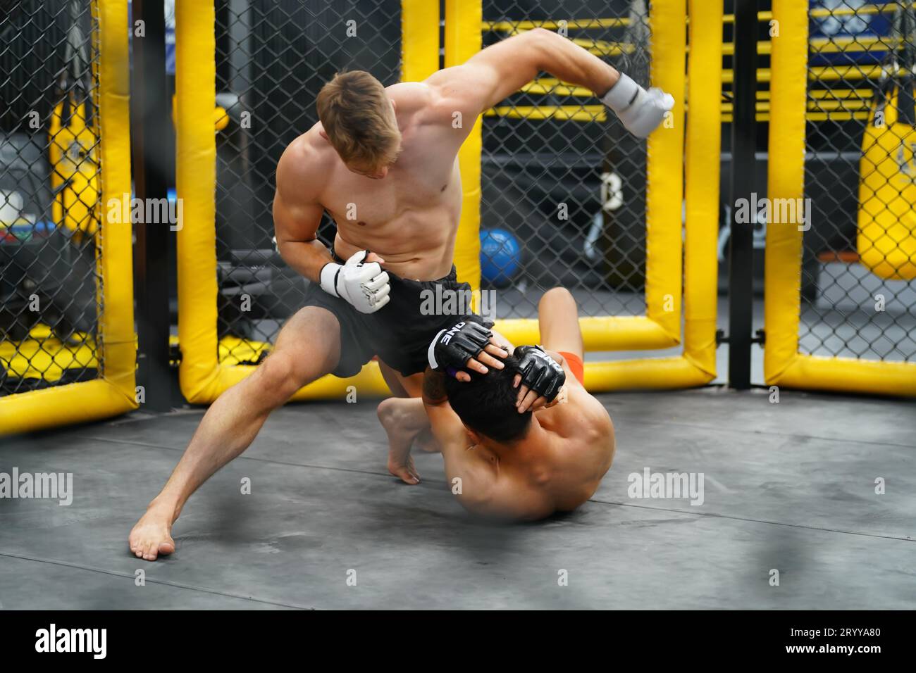 Body art competition hi-res stock photography and images - Alamy