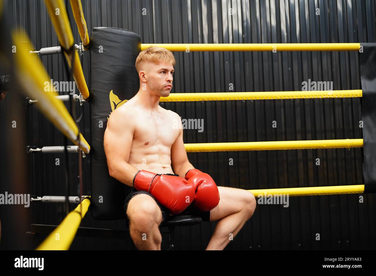 Muay Thai, The martial art of Thailand, Boxer sitting in the corner ...