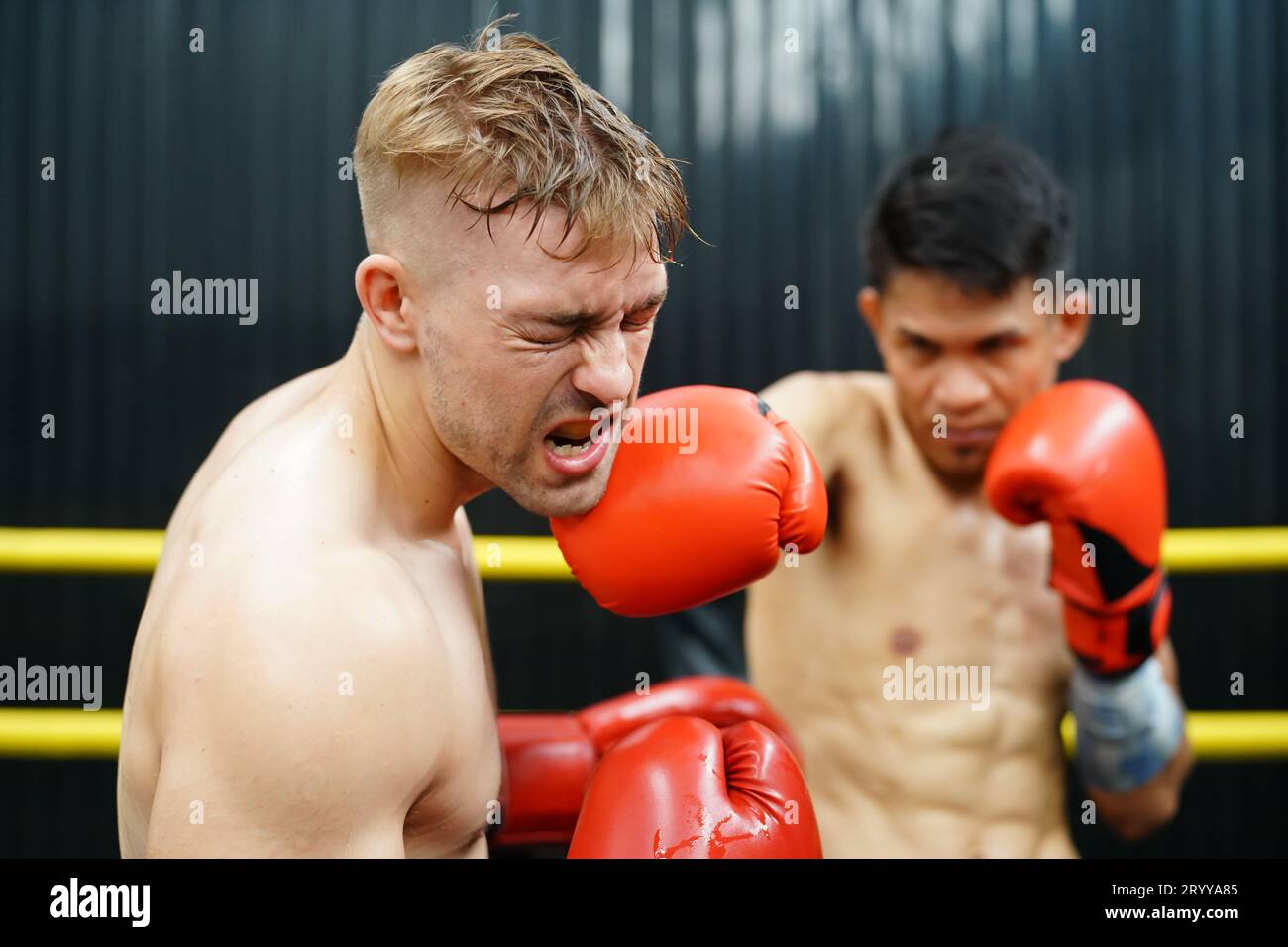 Thai opponent hi-res stock photography and images - Alamy