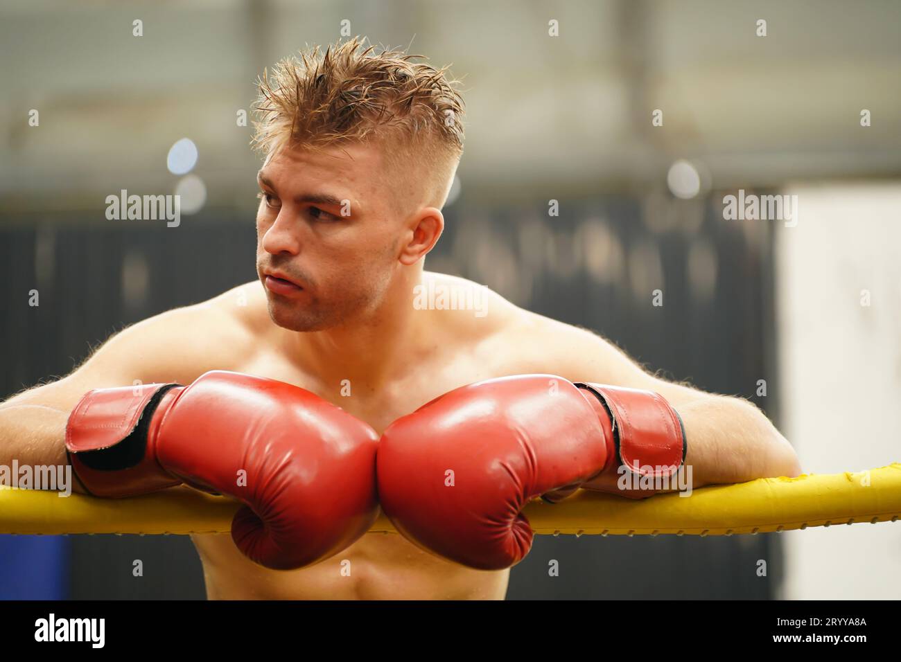 Muay Thai, The martial art of Thailand, Boxer sitting in the corner ...