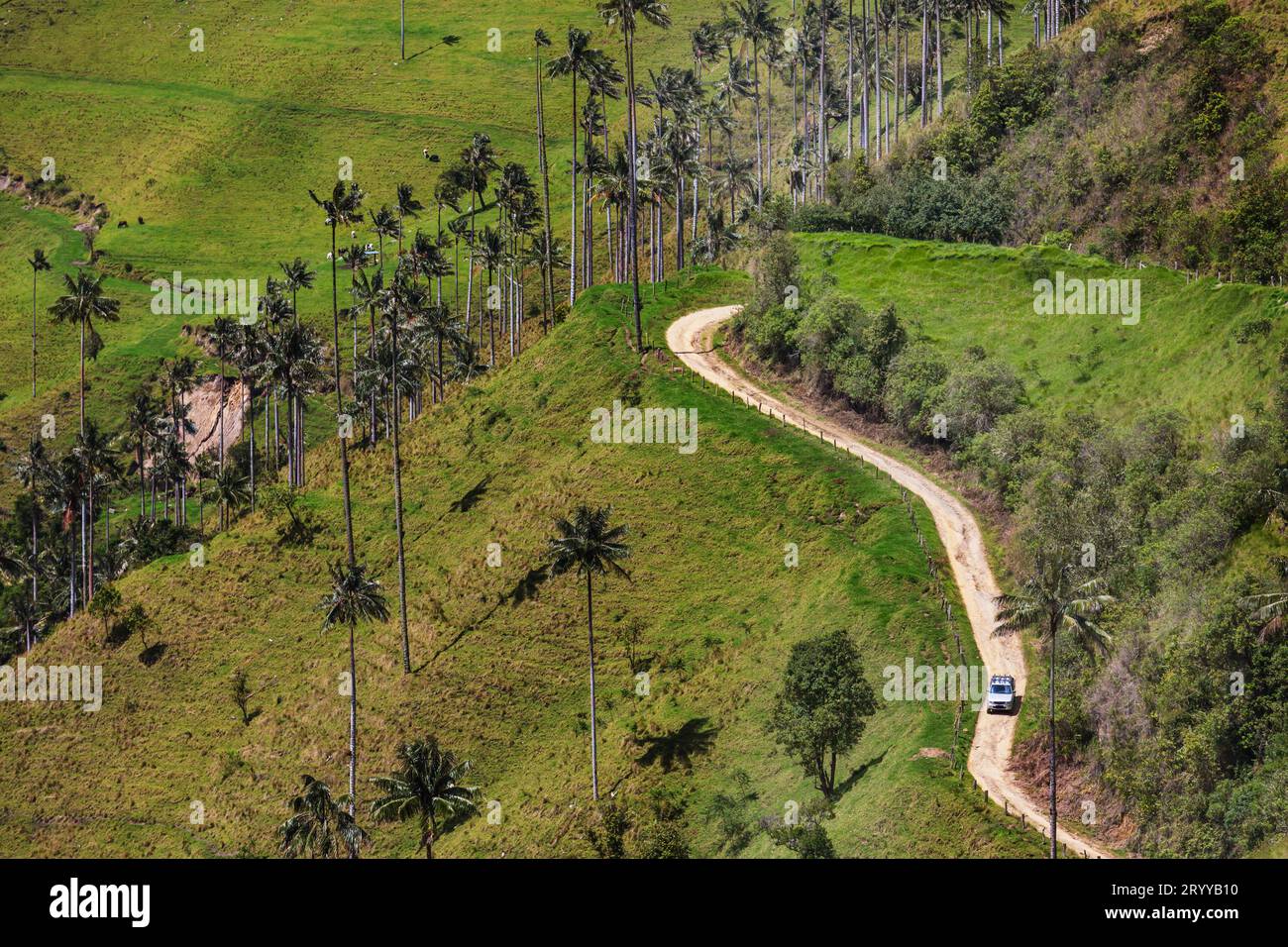 Colombia forest country road hi-res stock photography and images - Alamy