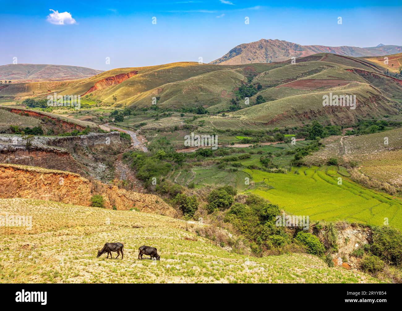 Devastated central Madagascar landscape - Mandoto, Province ...