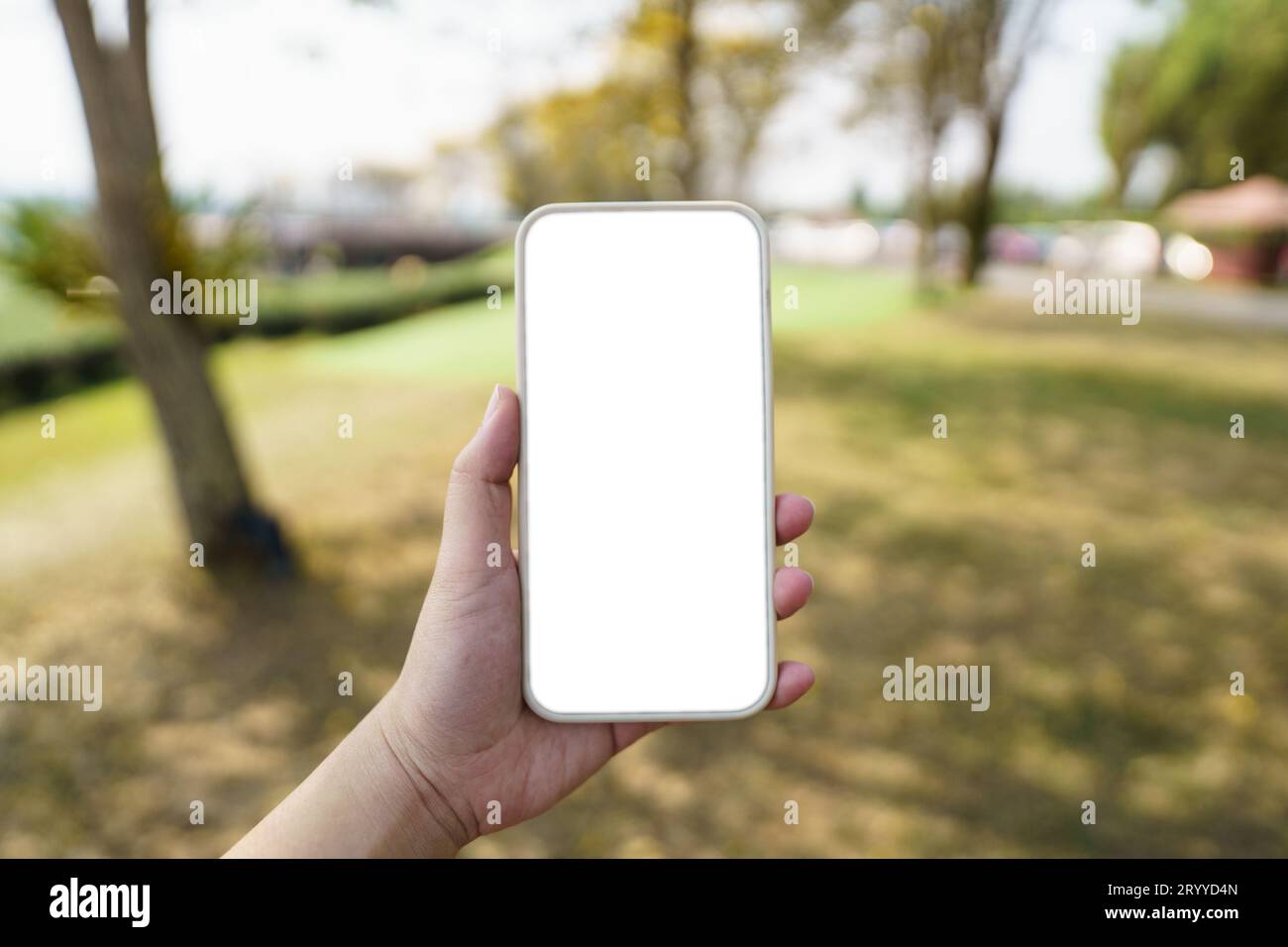 Close up of women's hands holding cell telephone blank copy space ...
