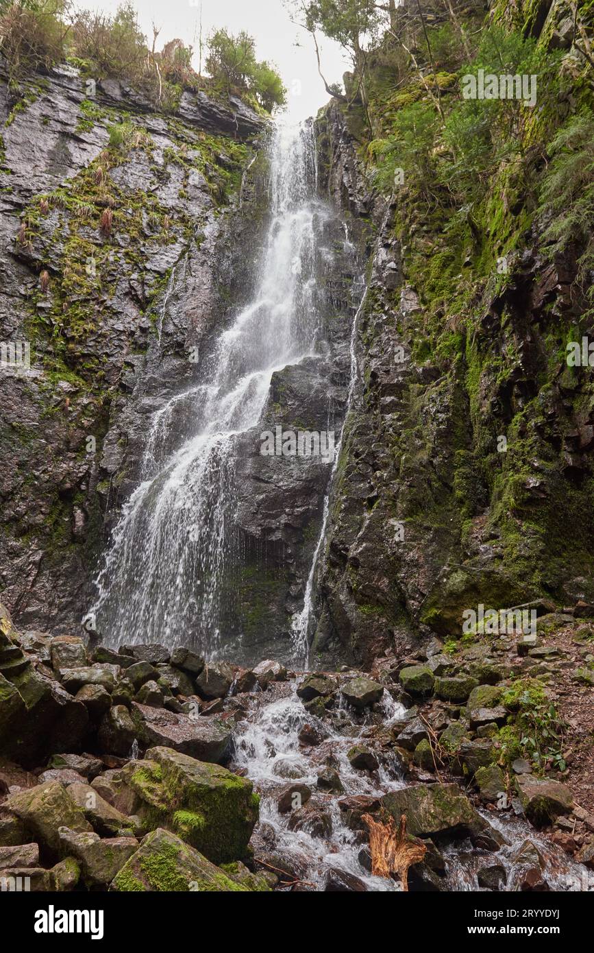 Waterfall in the forest, Burgbach waterfall near Schapbach, Black ...