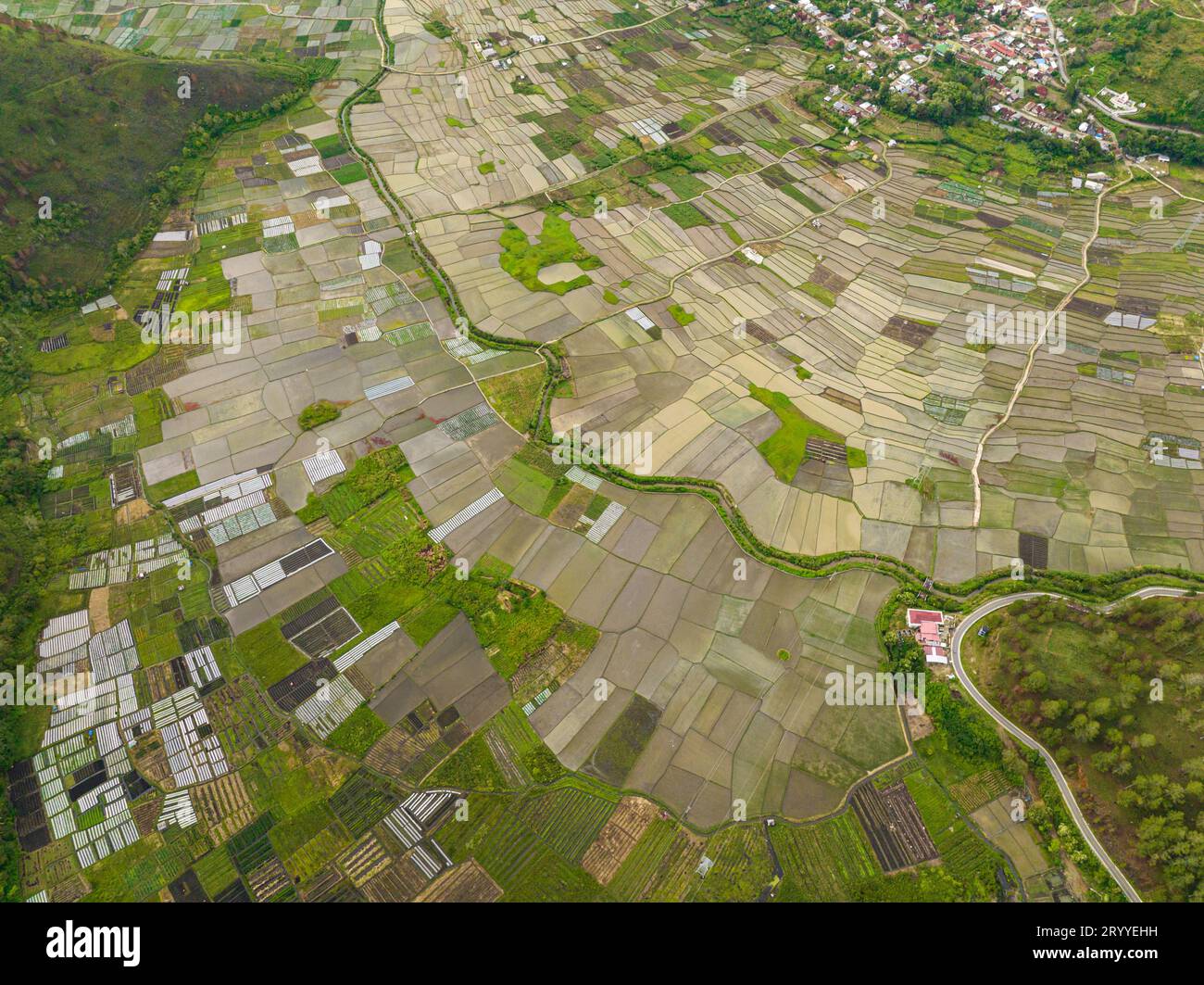 Top view of farmland in the countryside. Agricultural landscape in ...