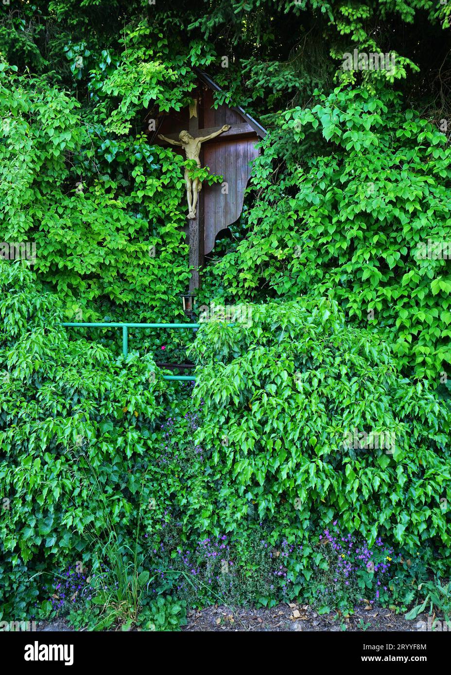 Ivy cross hi-res stock photography and images - Alamy