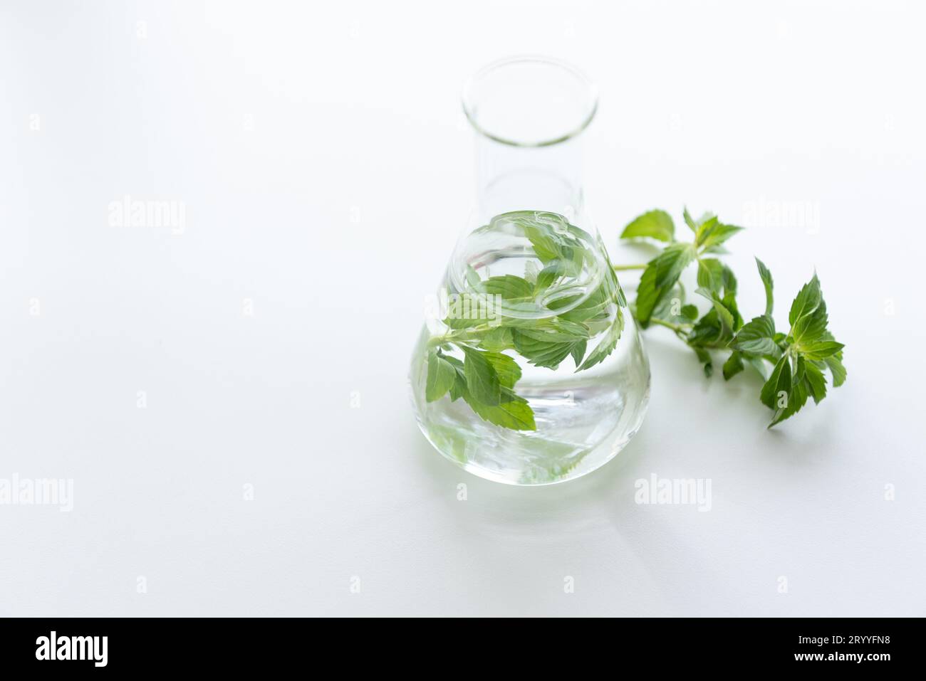 Peppermint spa treatments on white wooden table. Healthcare and body ...