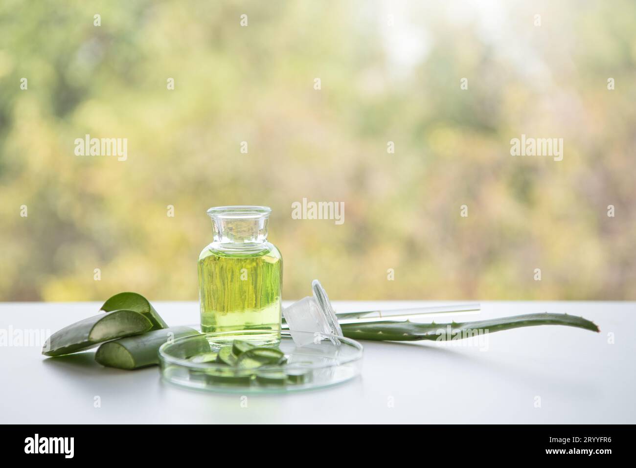 Aloe vera spa treatments on white wooden table. Healthcare and body ...