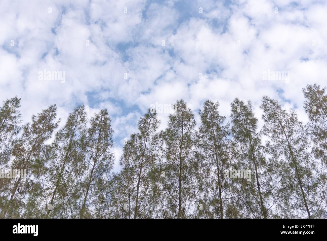 Blue sky background with clouds. Nature and Background concept. Space ...