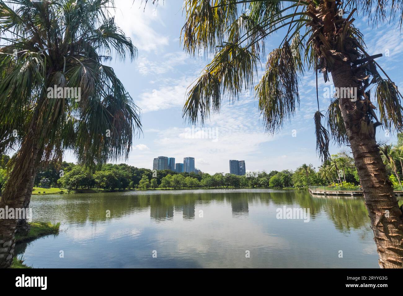 Public park in the big city. Place and outdoors concept. Nature and ...
