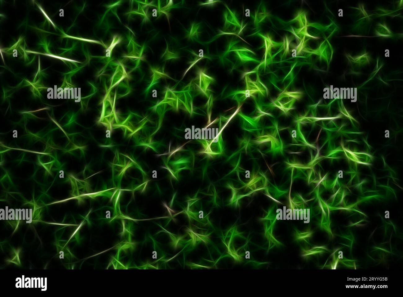 Abstract green nature background. Tree Texture and Wallpaper concept ...