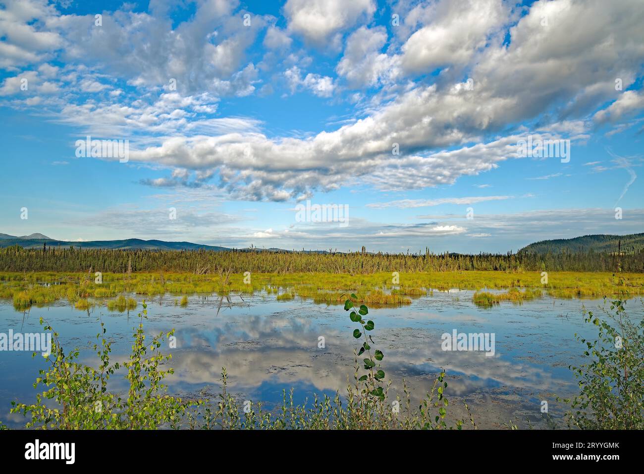 Clouds reflected in a crystal clear, calm lake, forest, autumn ...
