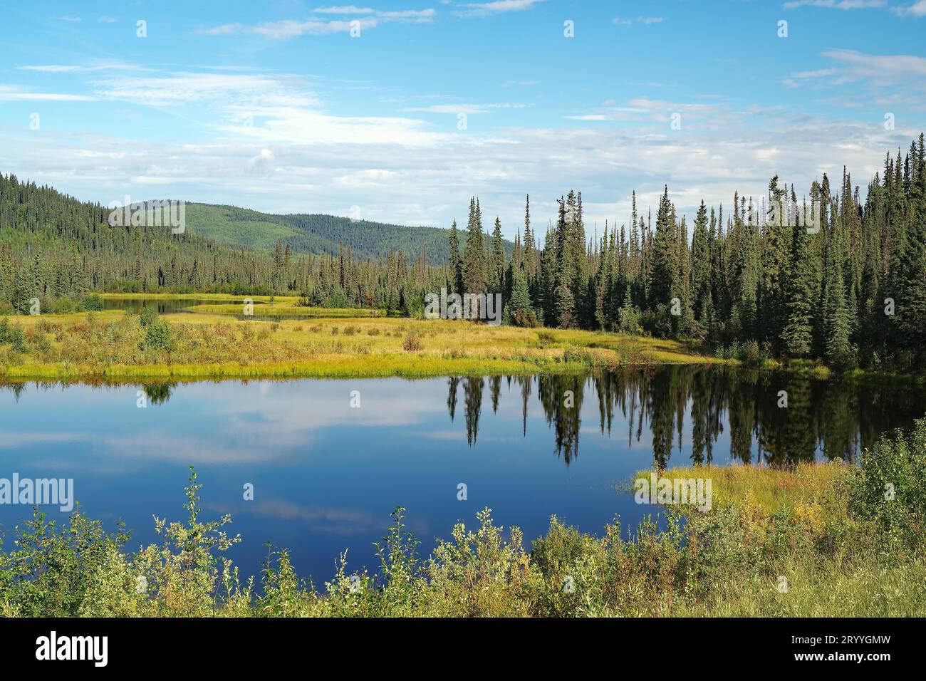 Clouds reflected in a crystal clear, calm lake, forest, autumn ...