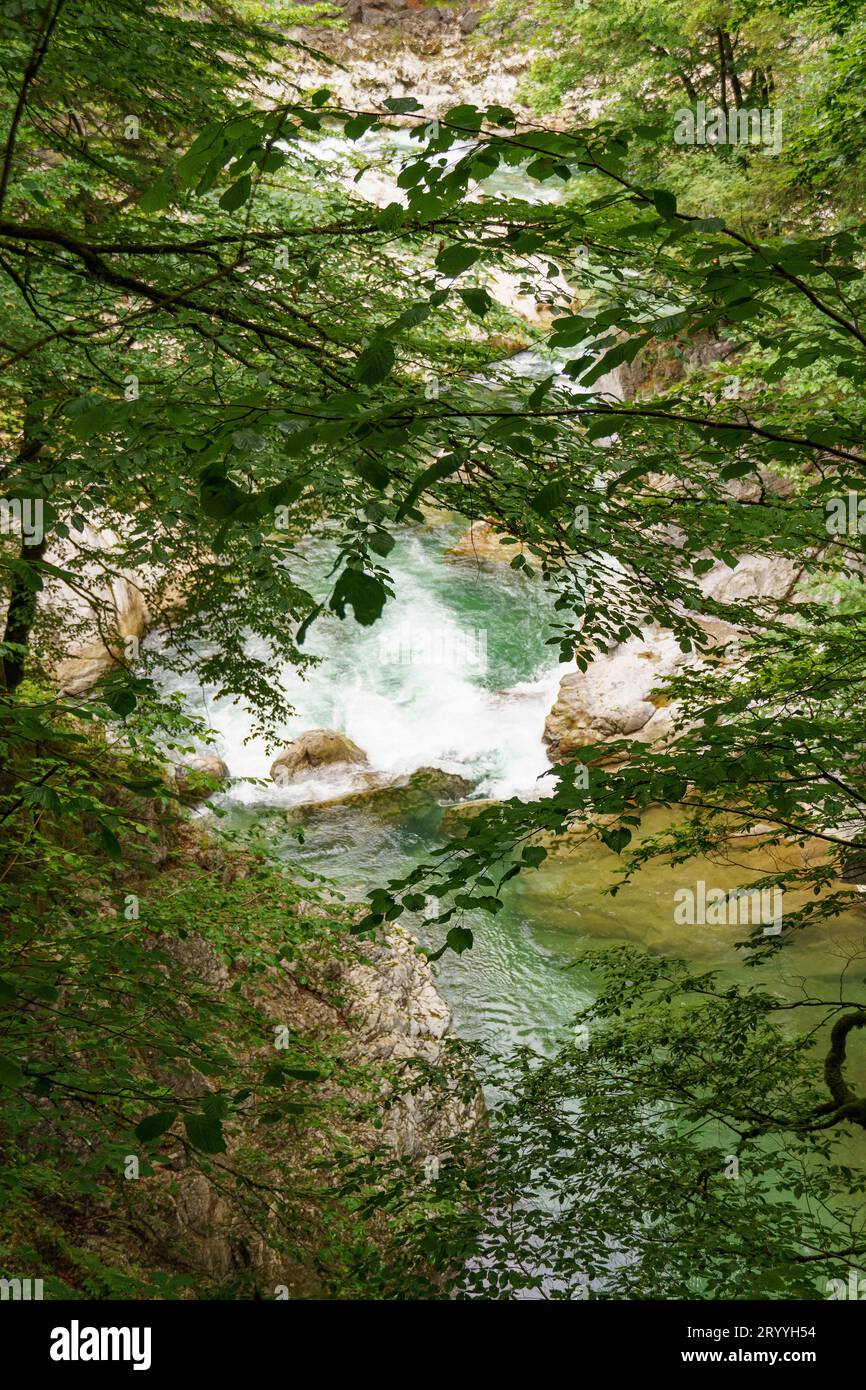 Summer time in the austrian alps Stock Photo - Alamy