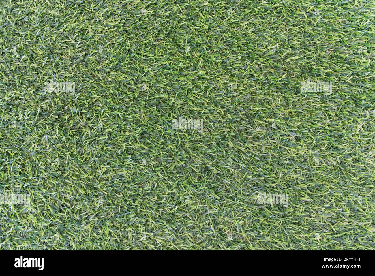 Green grass texture background. Nature and wallpaper concept. Outdoors ...