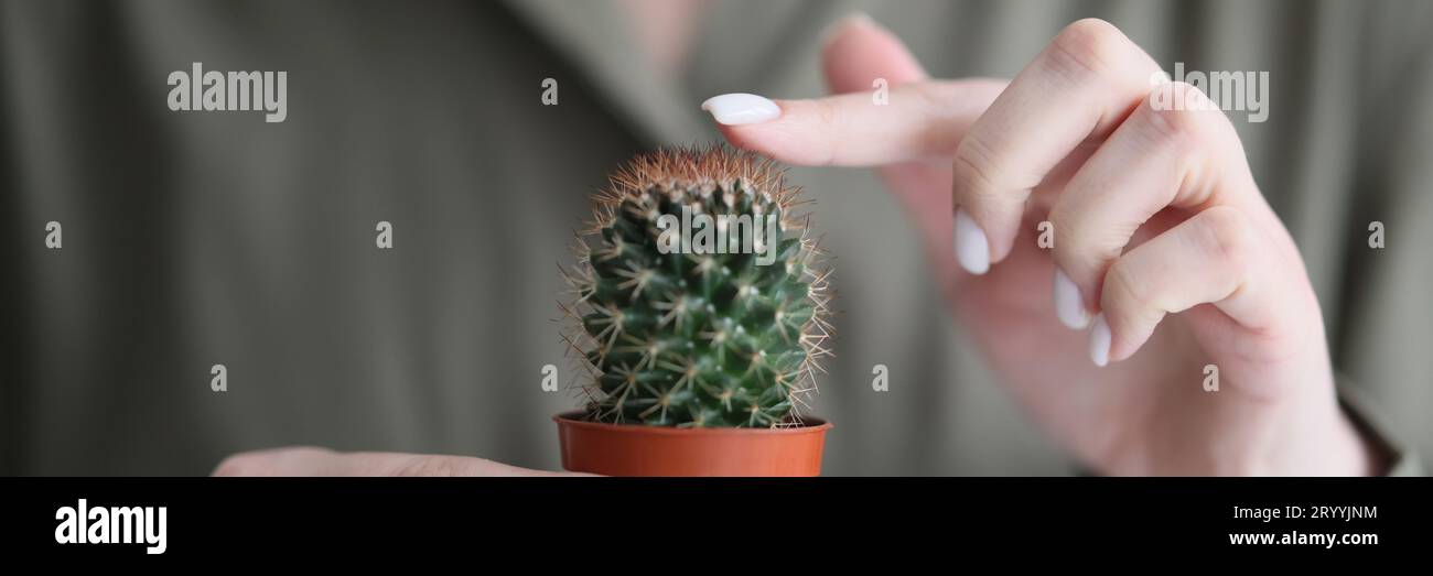 Woman touches green spiked cactus with index finger Stock Photo - Alamy