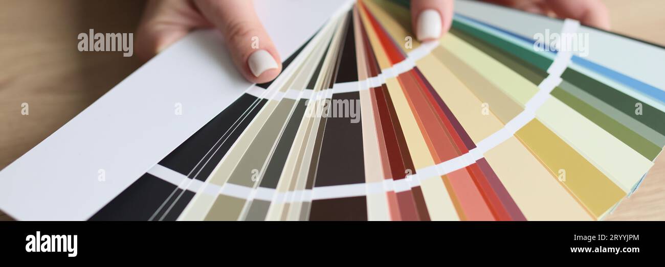 Hands of woman holding color palette for interior design Stock Photo ...
