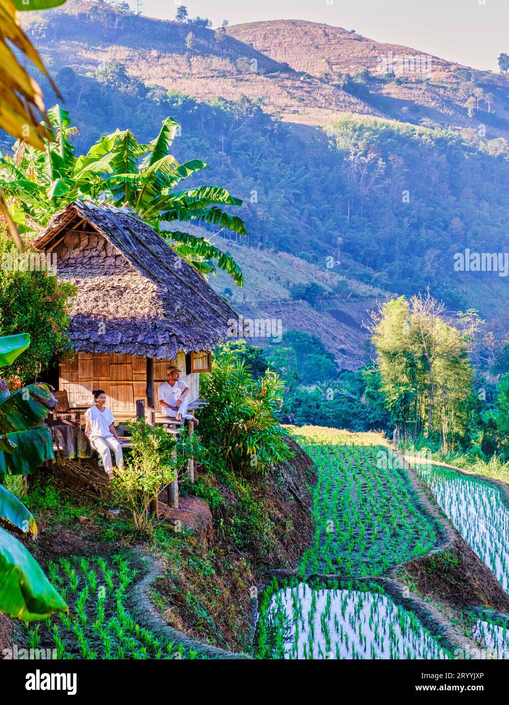 Couple visit a rice farm with rice fields in Northern Thailand,rice ...