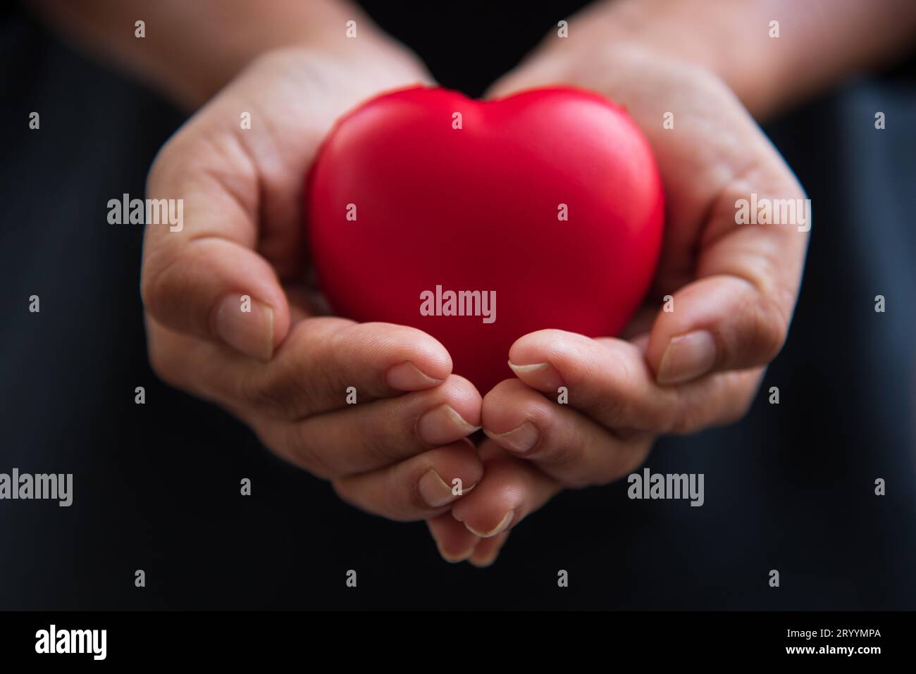 Close up hands giving red heart as heart donor. Valentine day of love ...