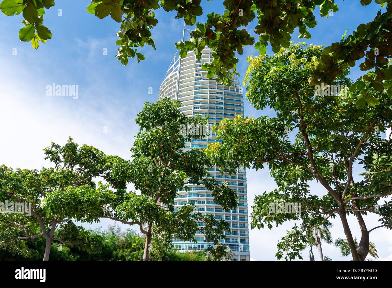 Cities in nature. Tall building with sky background and tree foreground ...
