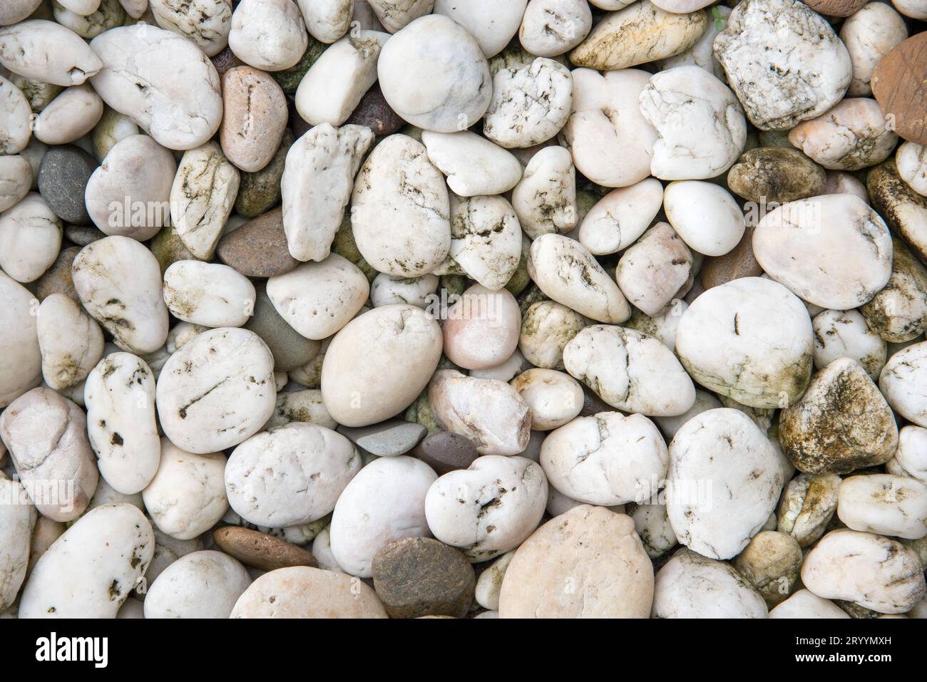 White pebble stone background. Texture and material theme Stock Photo ...