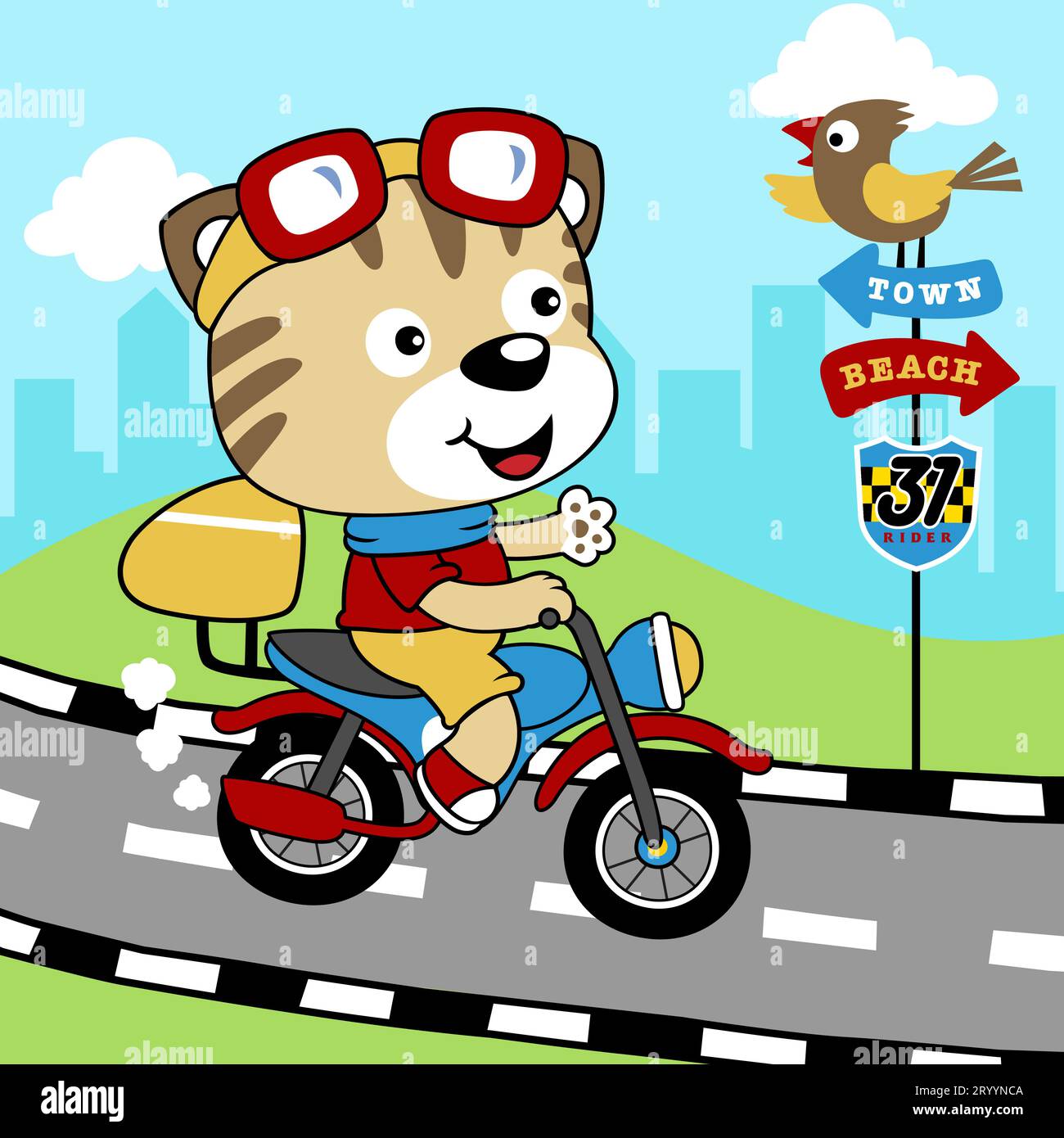 Funny cat riding motorcycle in the road, bird perching on road sign ...