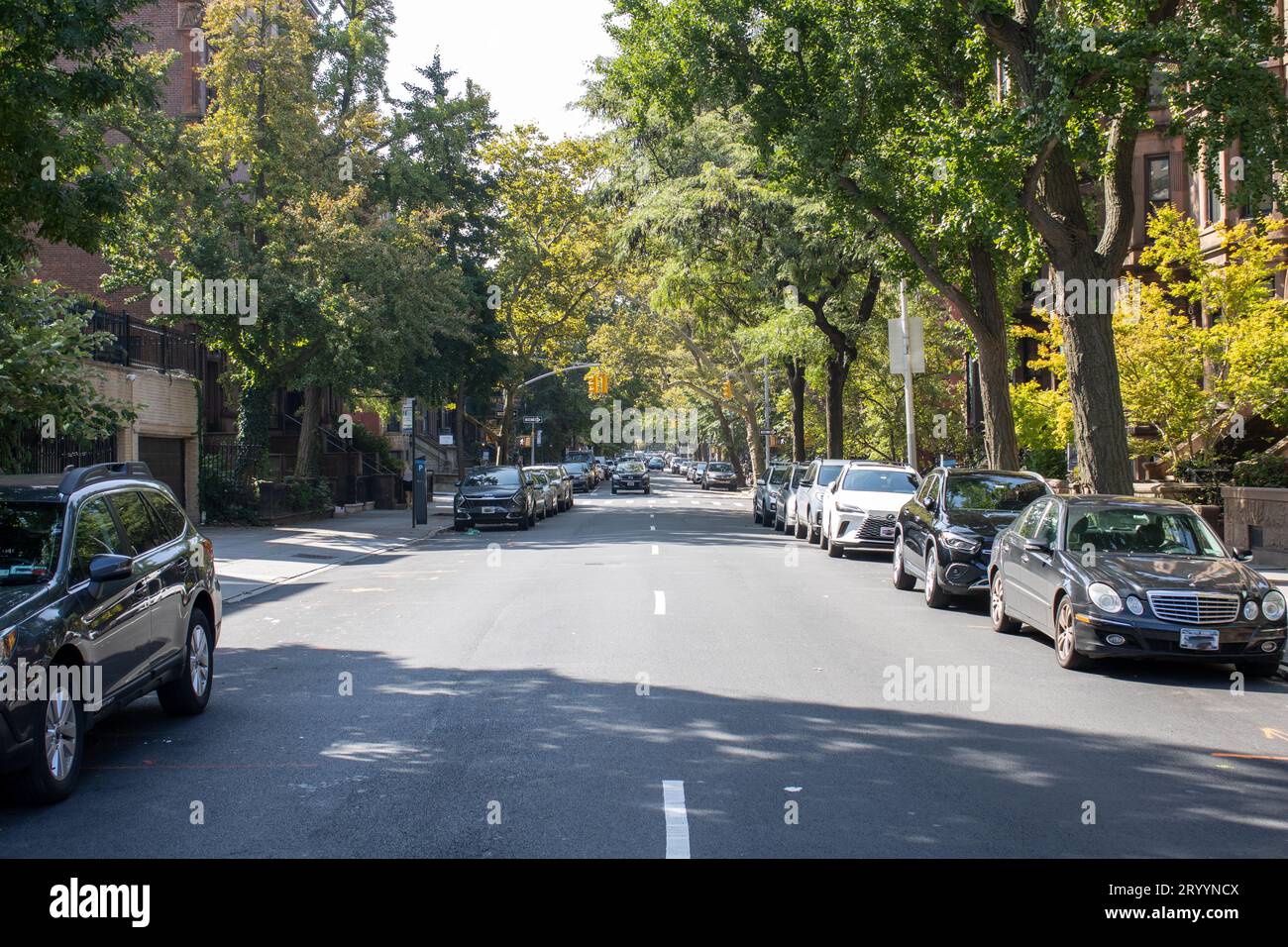 Suburb new york oak hi-res stock photography and images - Alamy