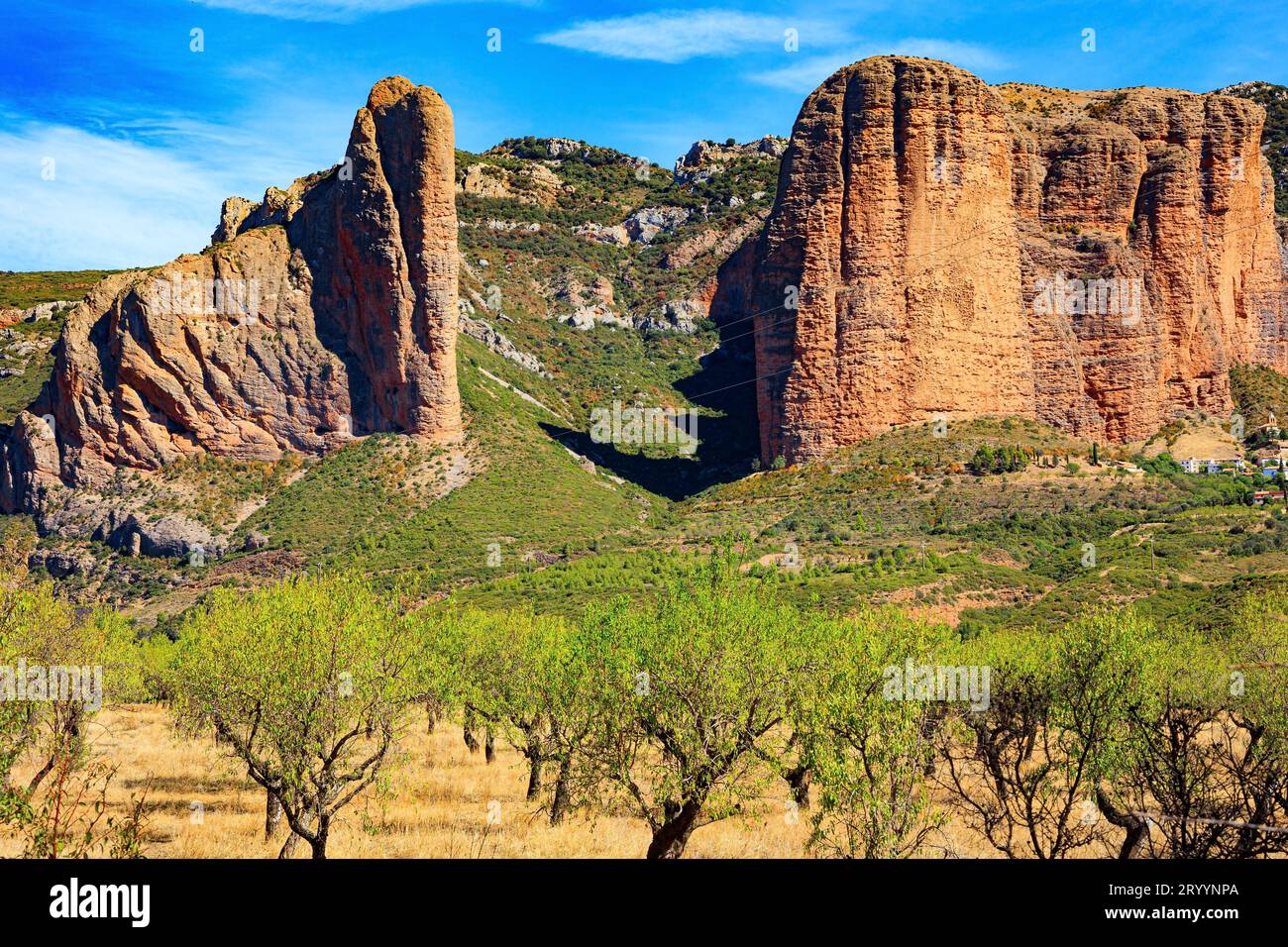 Climbing grove hi-res stock photography and images - Alamy