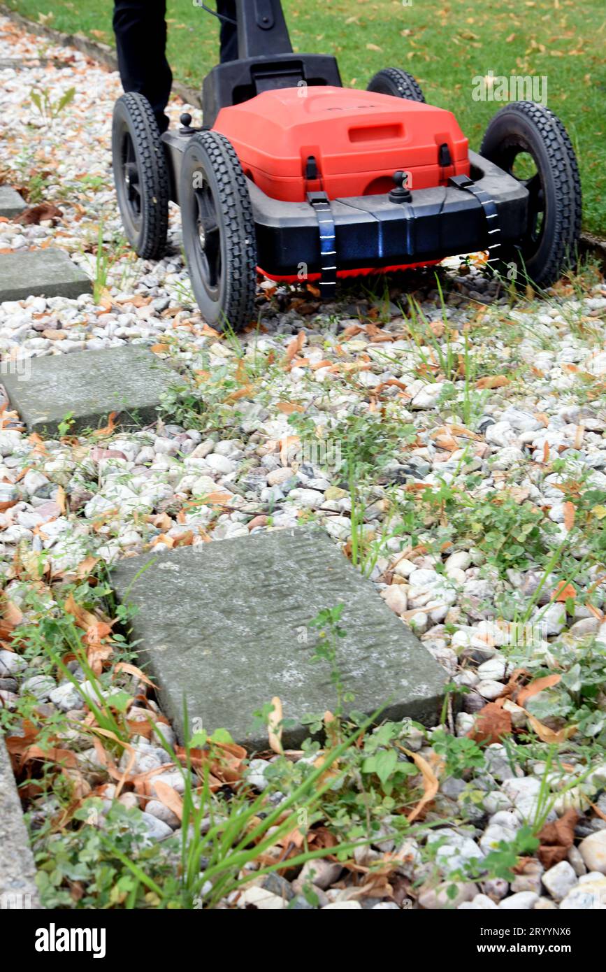 Leipzig, Germany. 29th Sep, 2023. At the New Jewish Cemetery ...