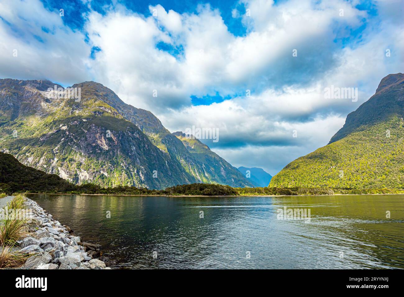 Fiordland park magical nature hi-res stock photography and images - Alamy