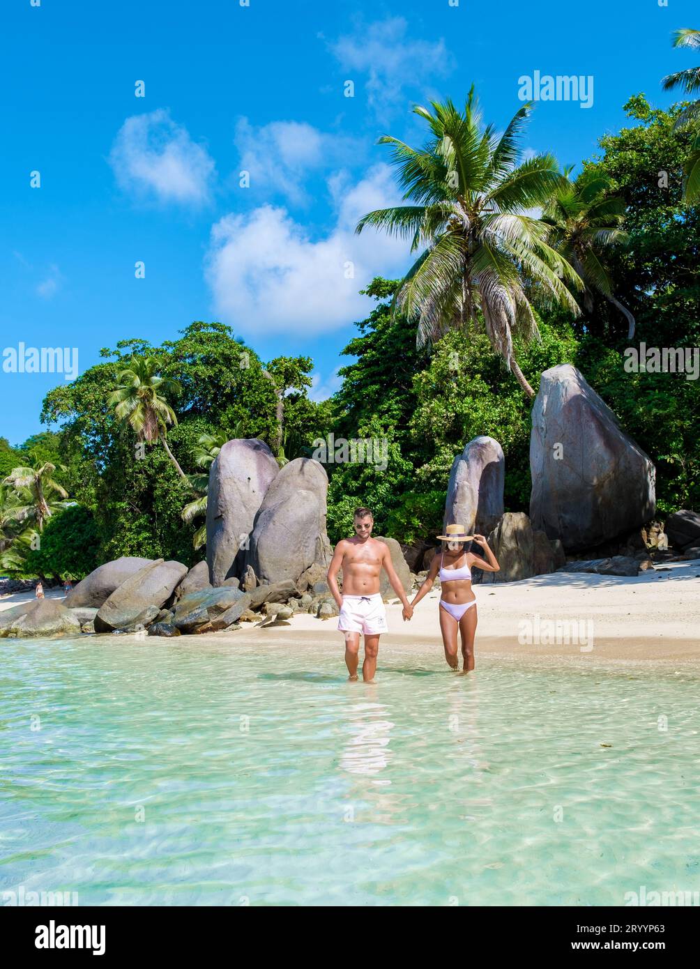 Mahe Seychelles tropical beach with palm trees and blue ocean at Mahe Seychelles. Anse Royale ...