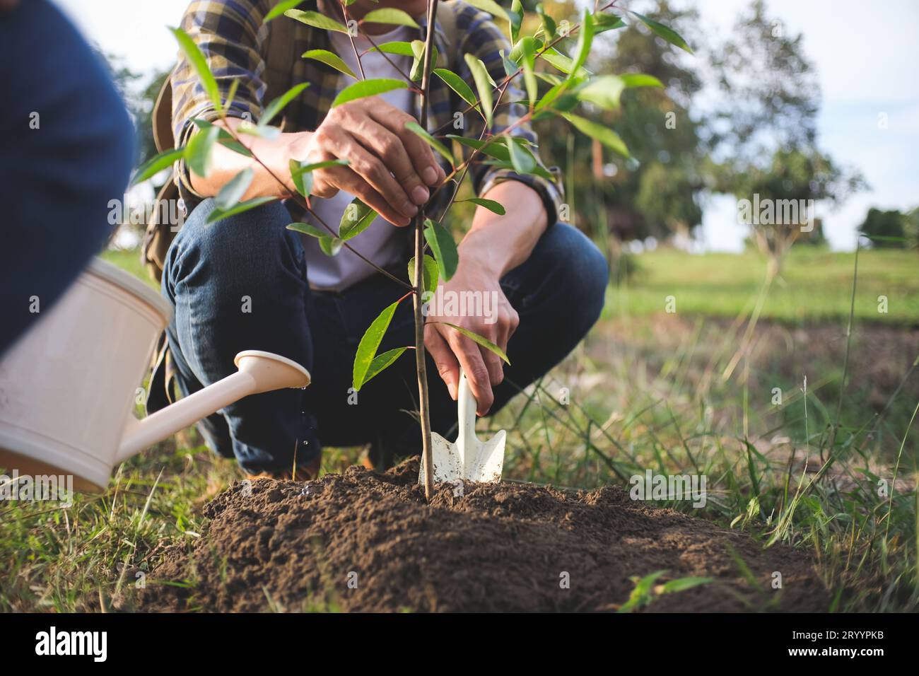 Gardening tree planting hi-res stock photography and images - Alamy