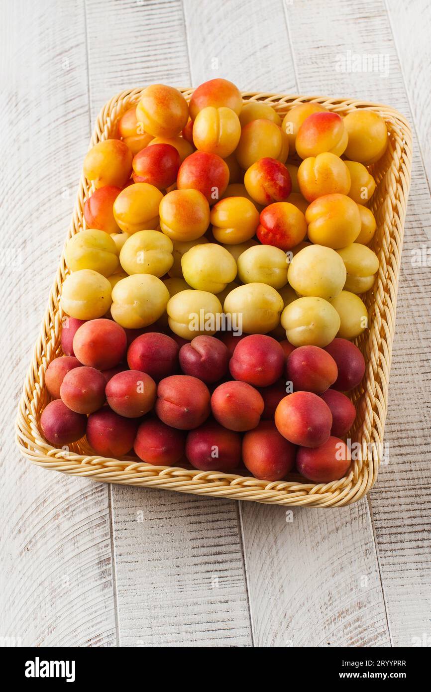 Assorted different types of apricots in a basket. Stone fruits ...